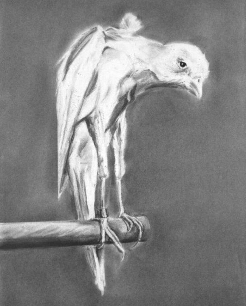 huber.huber and Their Fascinating Artworks – OVERSTANDARD – Culture ...