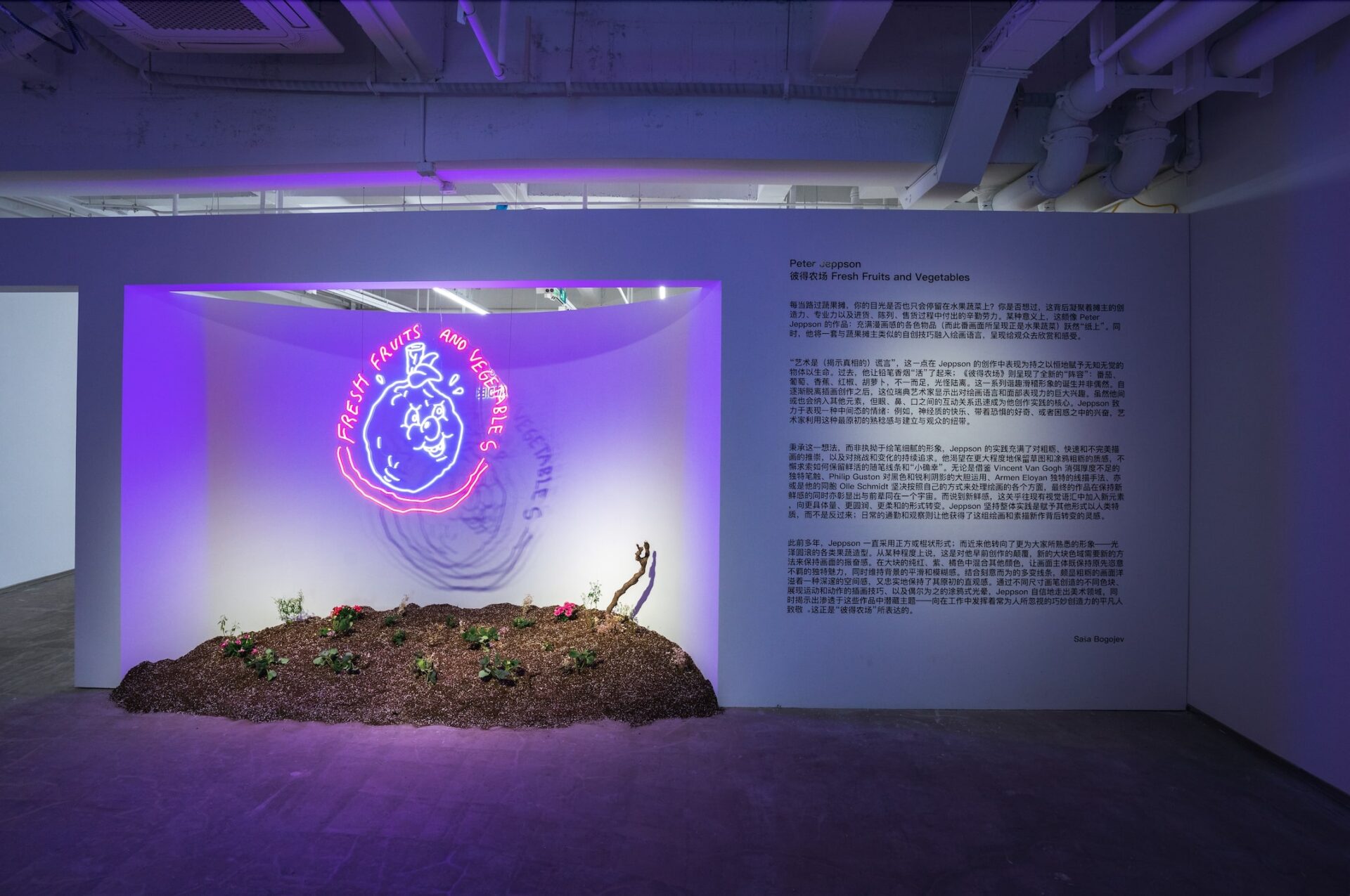 Peter Jeppson in Depth About Art and Life – OVERSTANDARD – Culture ...