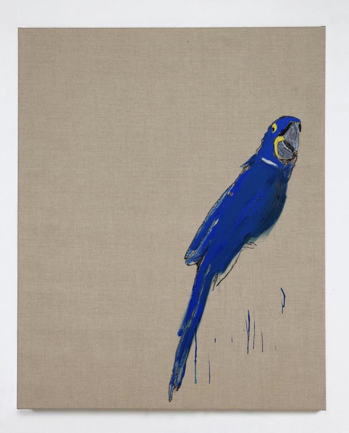 Martin Paaskesen in Depth About His Early Days, Art, Sharks, Creative ...